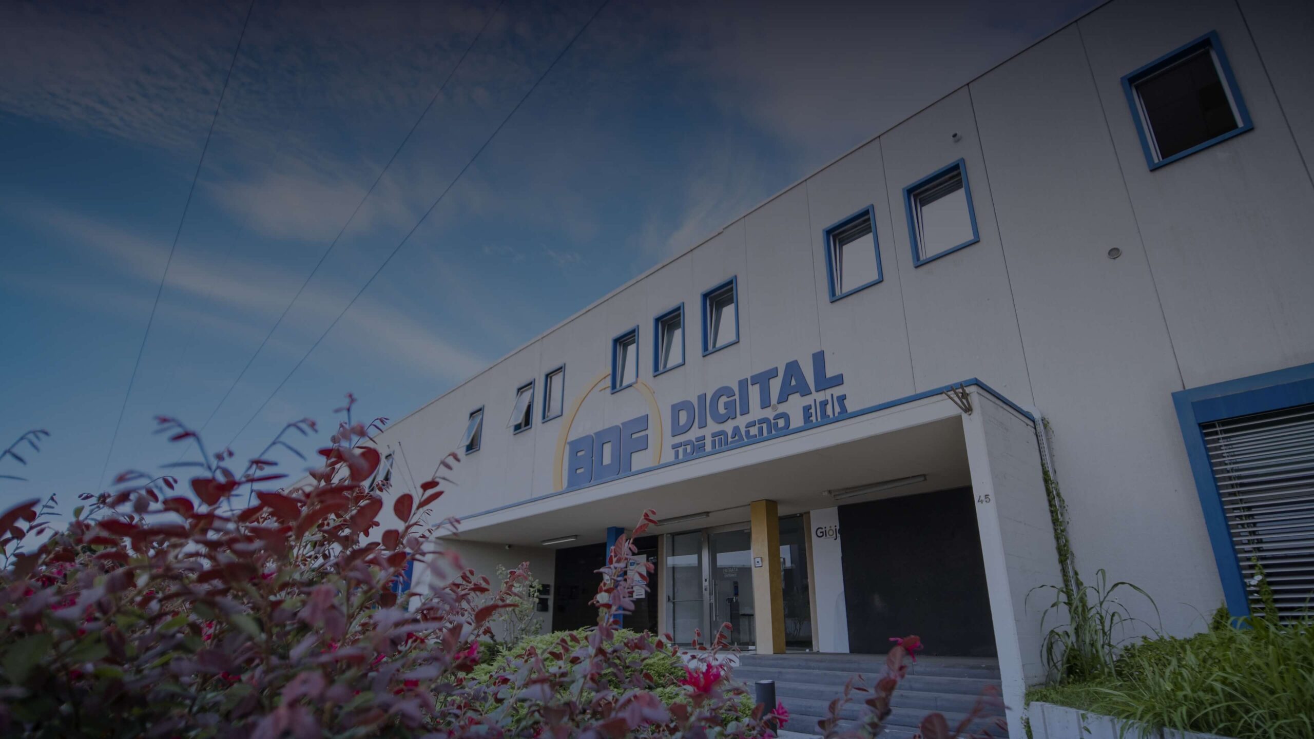 Azienda - bdfdigital.com